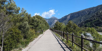 We Vélo Cheese - Bike Ride - Bike ride